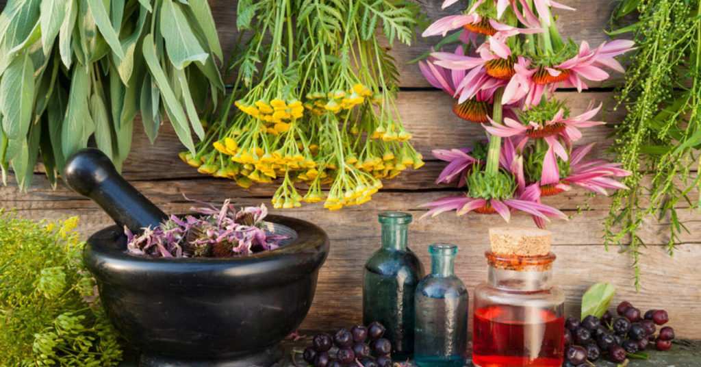 What Are Essential Oils? Finally Understand With This Easy Example!